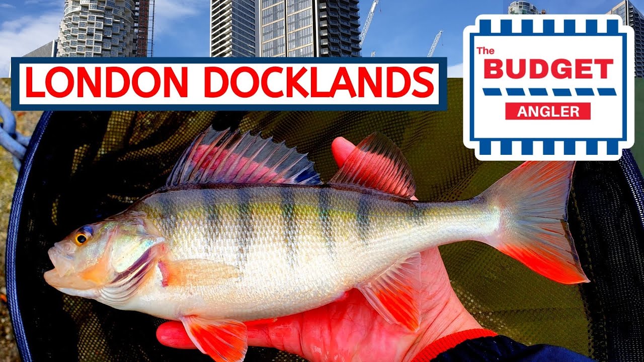 Feeder Fishing London Docklands - YouTube