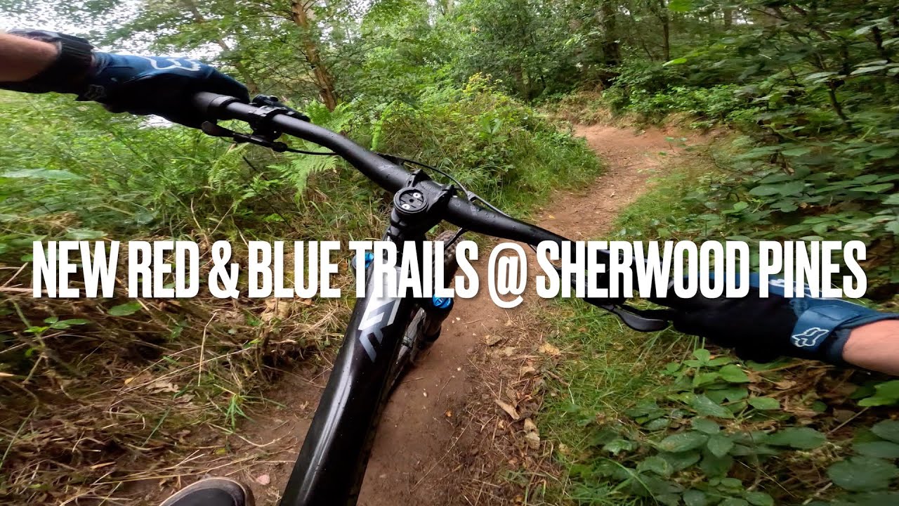 Sherwood Pines: New Blue & Red Trails - YouTube