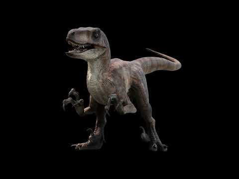 Utahraptor Sound Effects (Ver. 2)