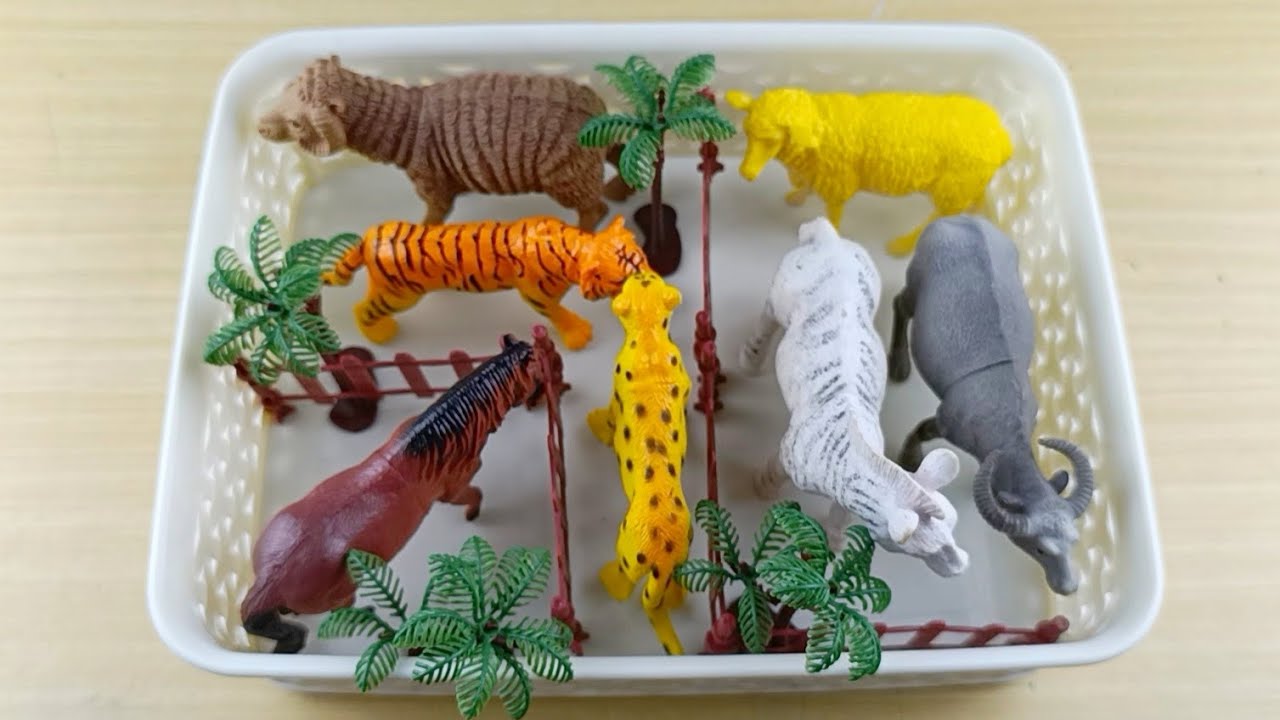Tapping & Scratching Animal Toys – ASMR Zebra, Cheetah, Tiger, Elephant ...