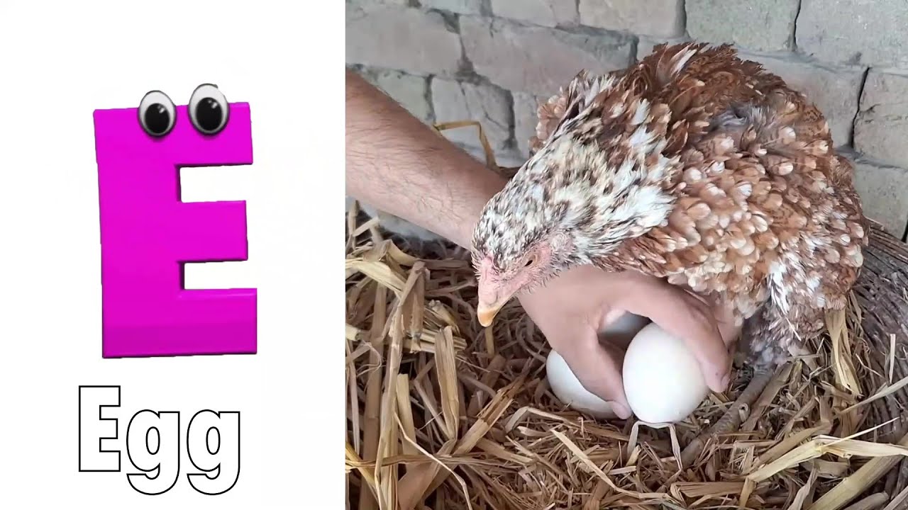 Food ABC Song for Kids | Food Alphabet Song | Phonics for Toddler ...