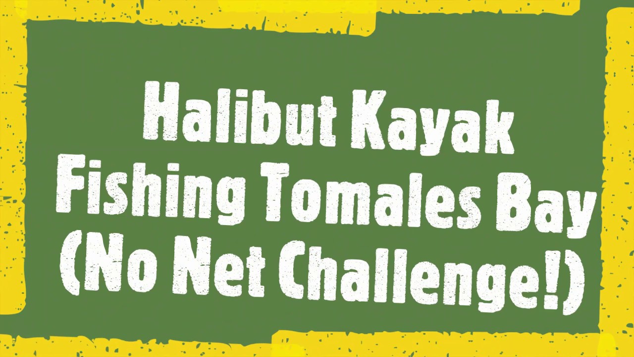 Fishing for Halibut in Tomales Bay on Kayak (No Net Challenge!) - YouTube