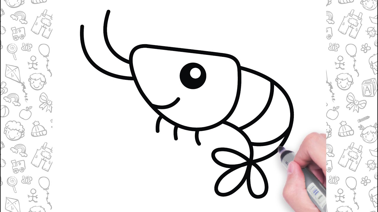 Cute Prawn Drawing For Kids | How to Draw a Prawn in Easy Way - YouTube