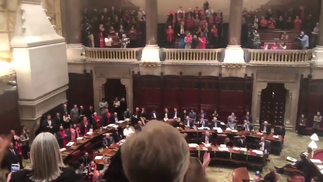 After voting for abortion up to birth, the New York Senate erupted into ...