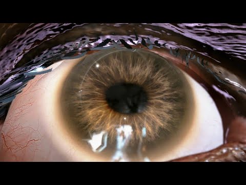 A look into Ryu's Eyes from street Fighter 6 - YouTube