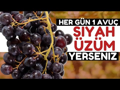Siyah Üzüm Vücudunuza Bunları Yapıyor | Siyah Üzümün Faydaları Nelerdir?