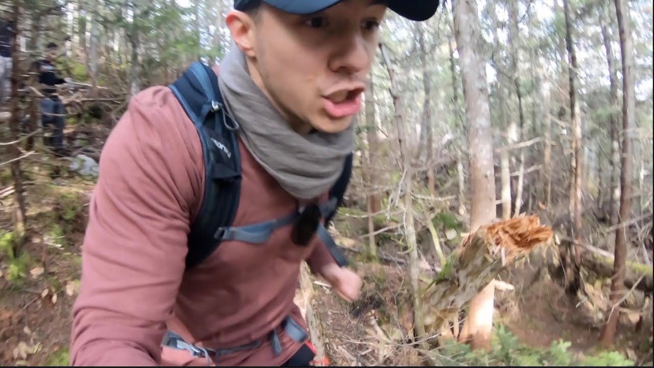 A WILD CAT ATTACK IN THE WHITE MOUNTAINS ! - YouTube