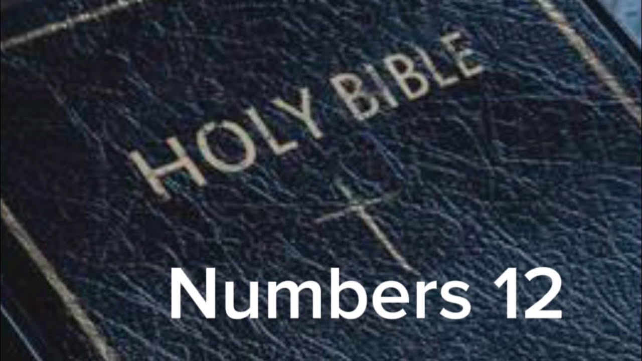 Numbers 12 (NIV) The Audio Bible - YouTube