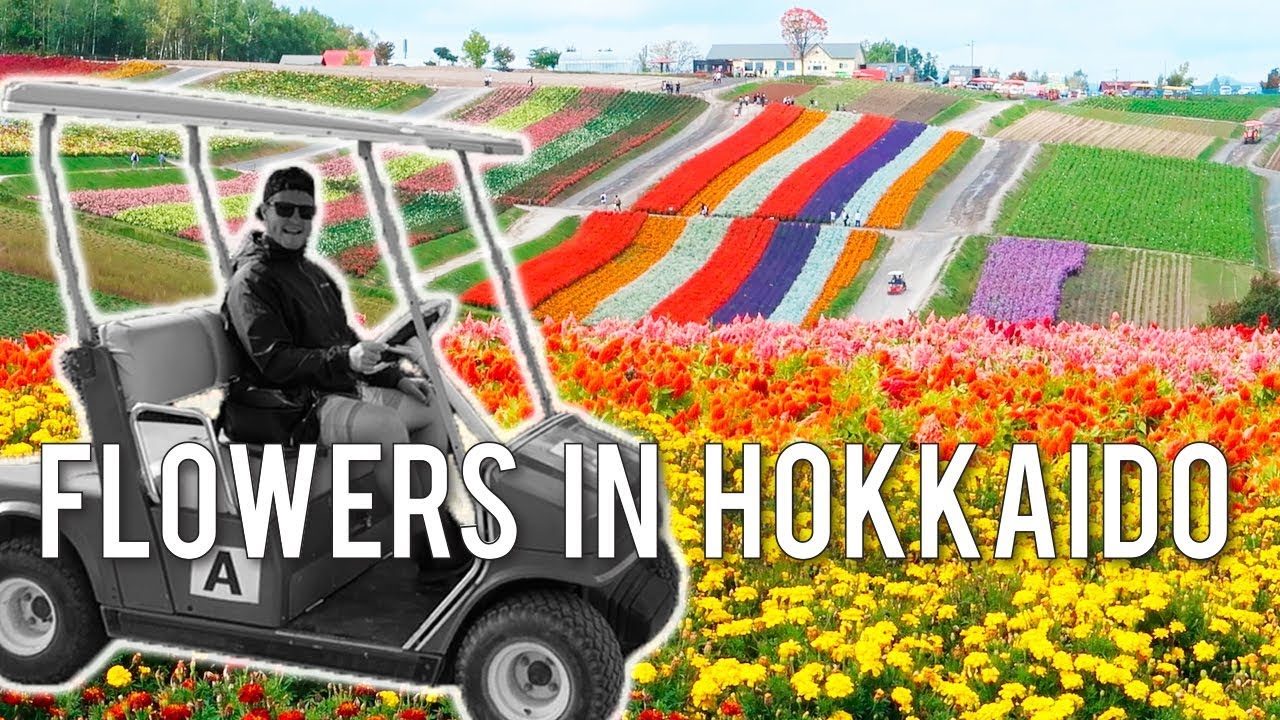 Flower Fields In Furano And Biei | Hokkaido Japan - YouTube