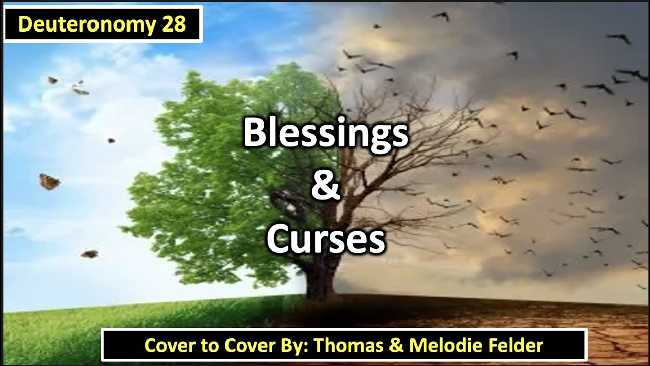 Deuteronomy 28 - Blessings and Curses _ #Cover2Cover Bible Study : 6am ...