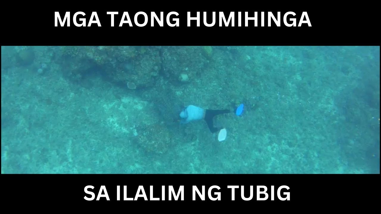 Shell na tinatawag na Kusay sa Ilocos pinupulot sa dagat na may 20 ...