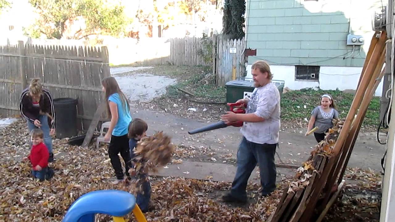 leaf fight - YouTube