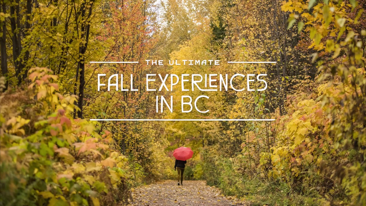 The Ultimate Fall Experiences in British Columbia - YouTube
