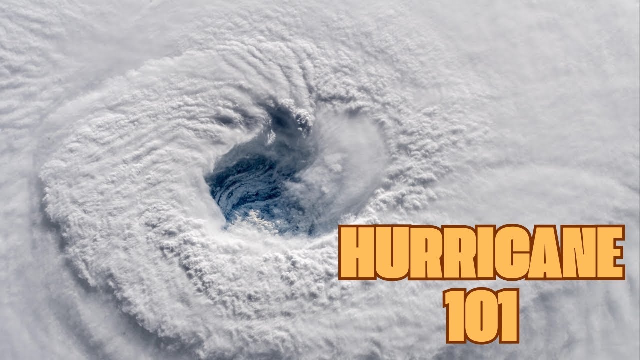 How Hurricanes Form 🌊 — The Science Behind Cyclones, Typhoons, and ...