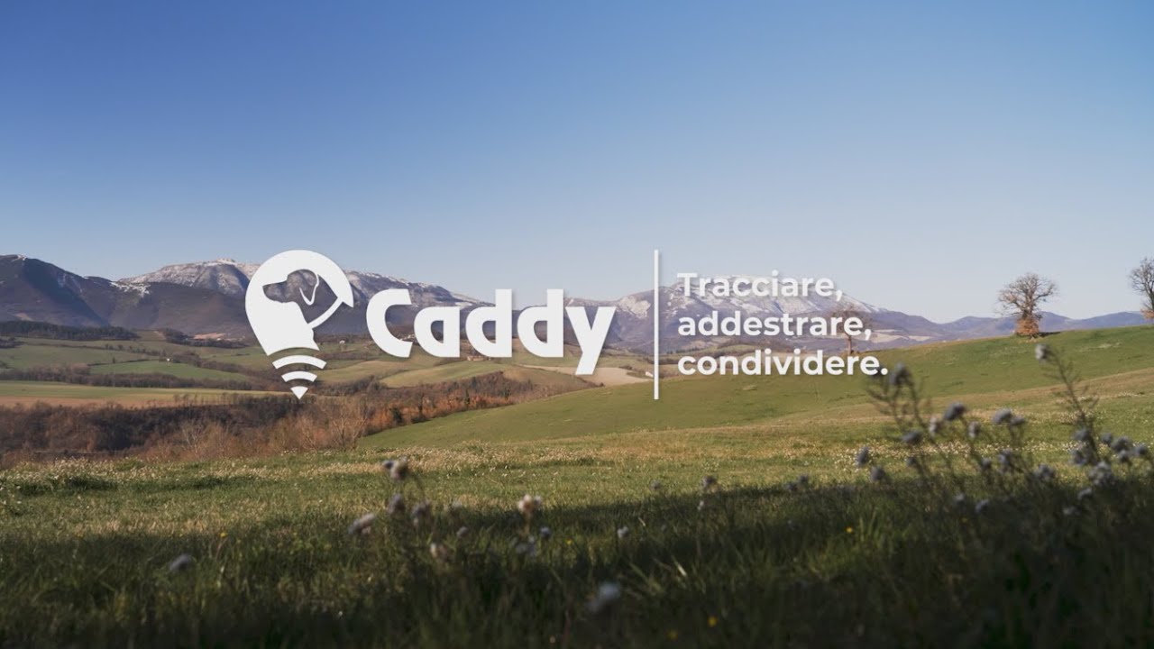 Tutorial Caddy - YouTube