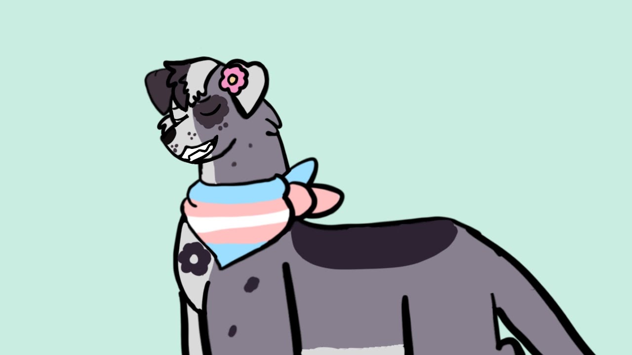 FLOPPY EARS ( Paws high animation meme) - YouTube