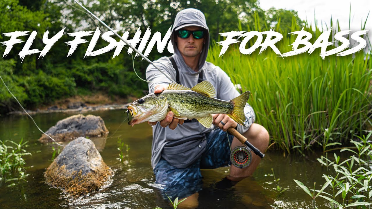 FLY FISHING for BASS in HIDDEN RIVER POOLS - YouTube