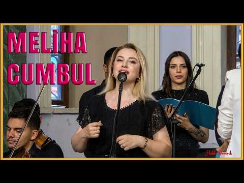 HAYAL UFKUNDA UÇAN BİNBİR RENKLER - MELİHA CUMBUL