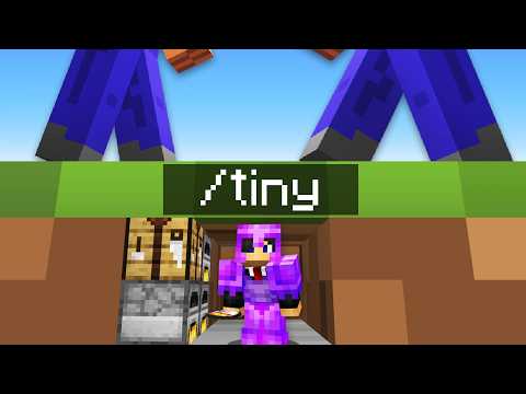 Minecraft, But I Secretly Use /tiny...