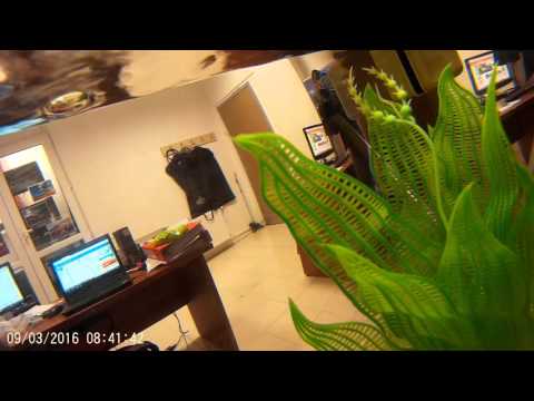 Akvaryum içinde action kamera ile balıkları taciz ettik :)