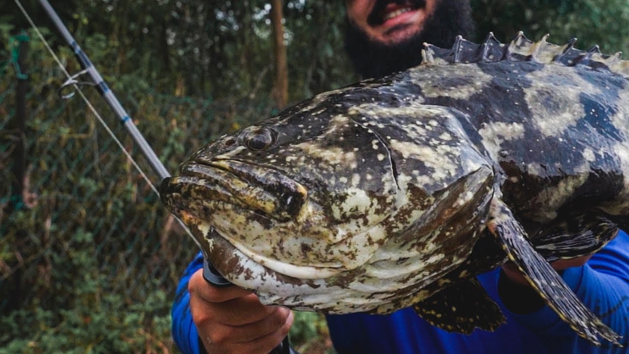 Damai Fishing Village | GT Pond | Catch and Release | Malaysia 2024 ...