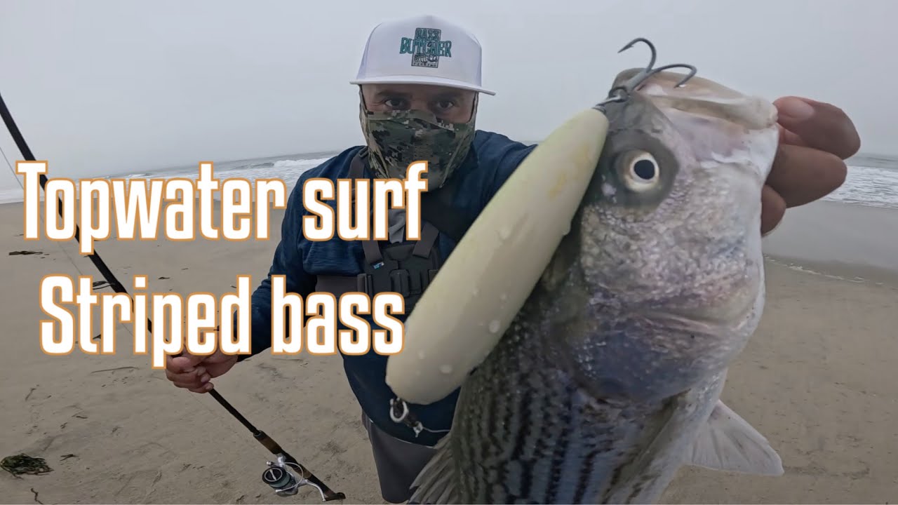 MIKE FIXTER WOODEN TOPWATER PLUG CATCHES SURF STRIPED BASS LIMITS SANTA ...