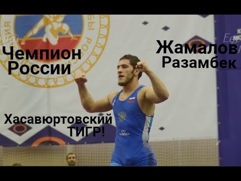 Хасавюртовский Тигр на чемпионате России! Жамалов Разамбек.