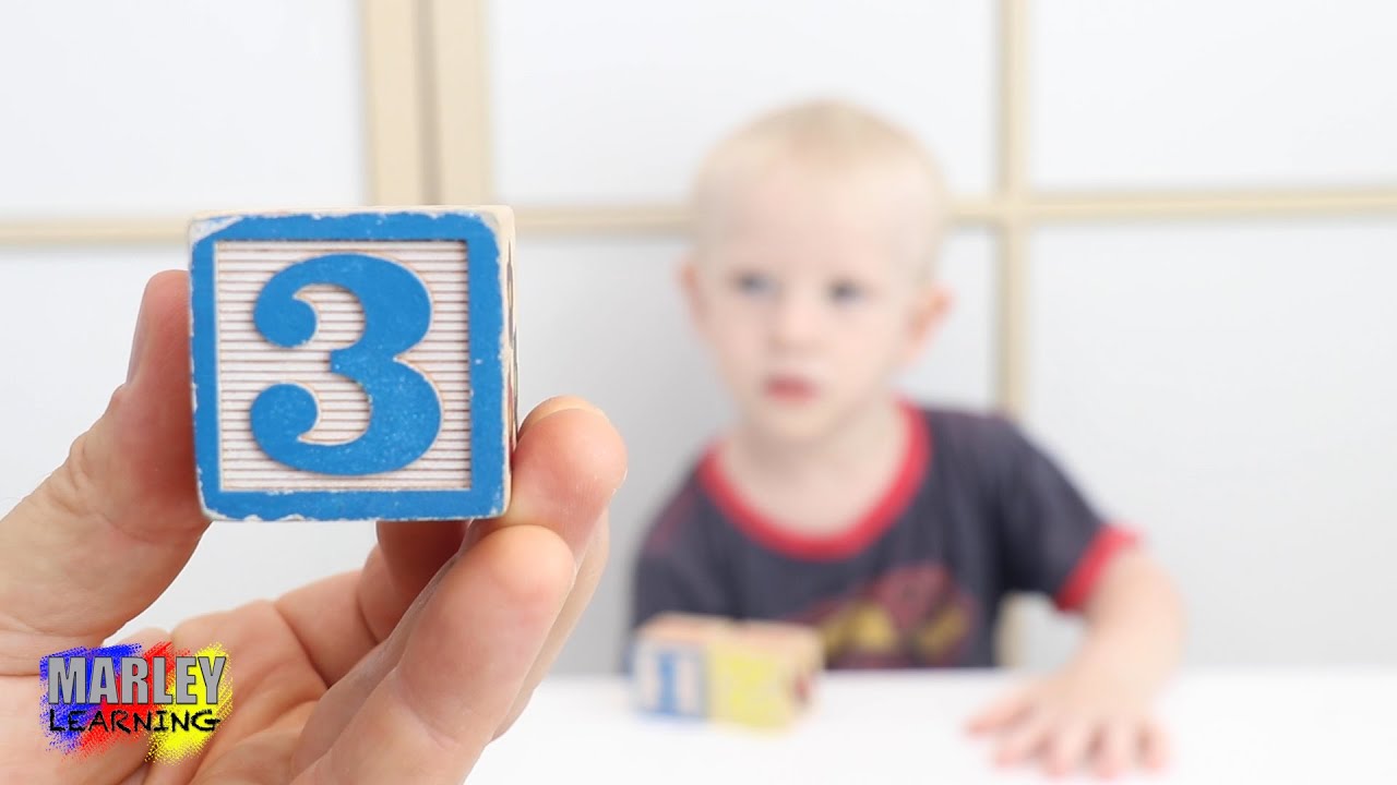 Marley Learning to Count to 10 with Number Blocks - Learn Numbers ...