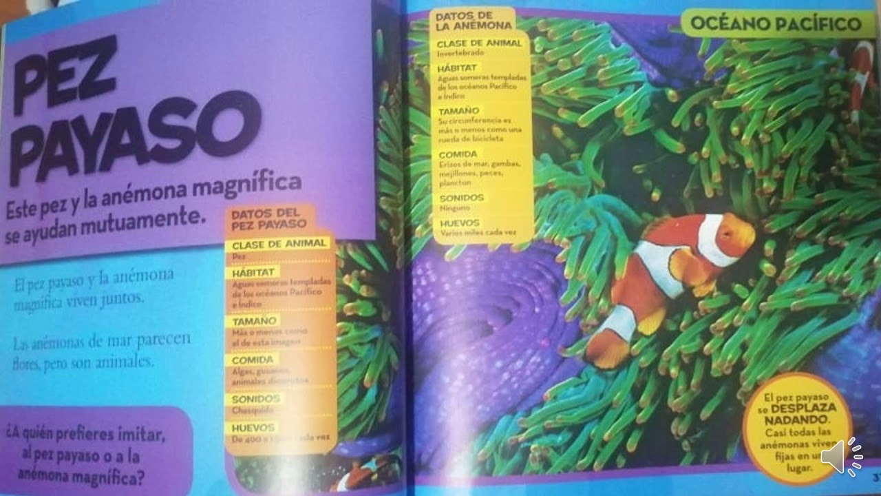 MI PRIMER LIBRO DEL OCÉANO /TEXTO INFORMATIVO / "PEZ PAYASO" - YouTube