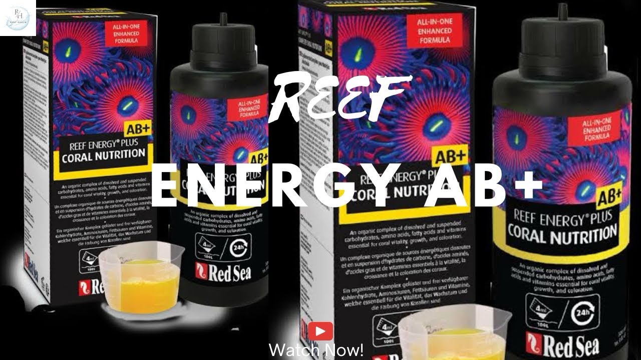 Reef Energy AB+ | Reef Energy AB Plus | Red Sea - YouTube