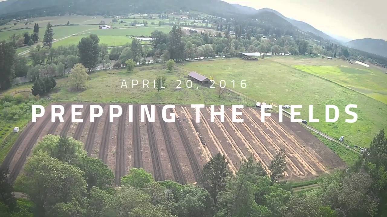 OM Farms Oregon - Prepping the Fields 42016 (Social Media 15) - YouTube