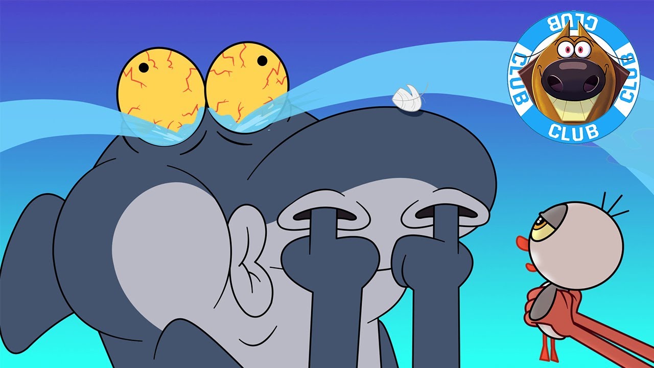 Sharko, King of Jokes | Zig & Sharko's Club | Cartoon Collection | New ...