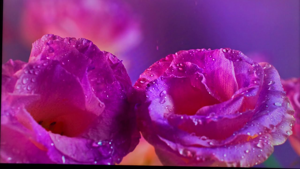 4K 60fps demo played on Samsung U32J59x Monitor (iPhone 8 +) - YouTube