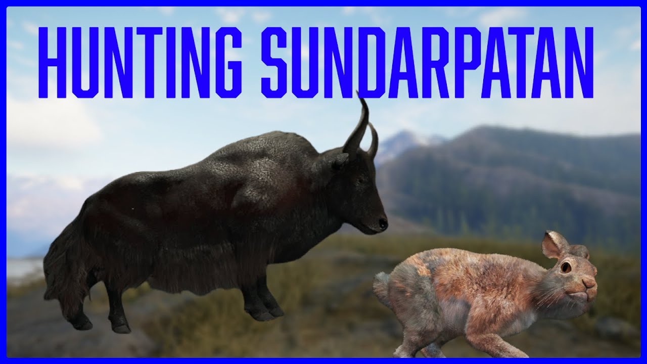 Is Today The Day We Get a Diamond Yak - YouTube