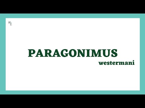 Paragonimus westermani | Lung fluke | Paragonimiasis | Morphology, Life ...