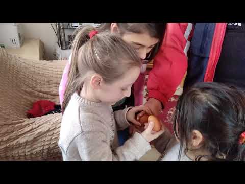 Usaqlarin yumurta doyusu