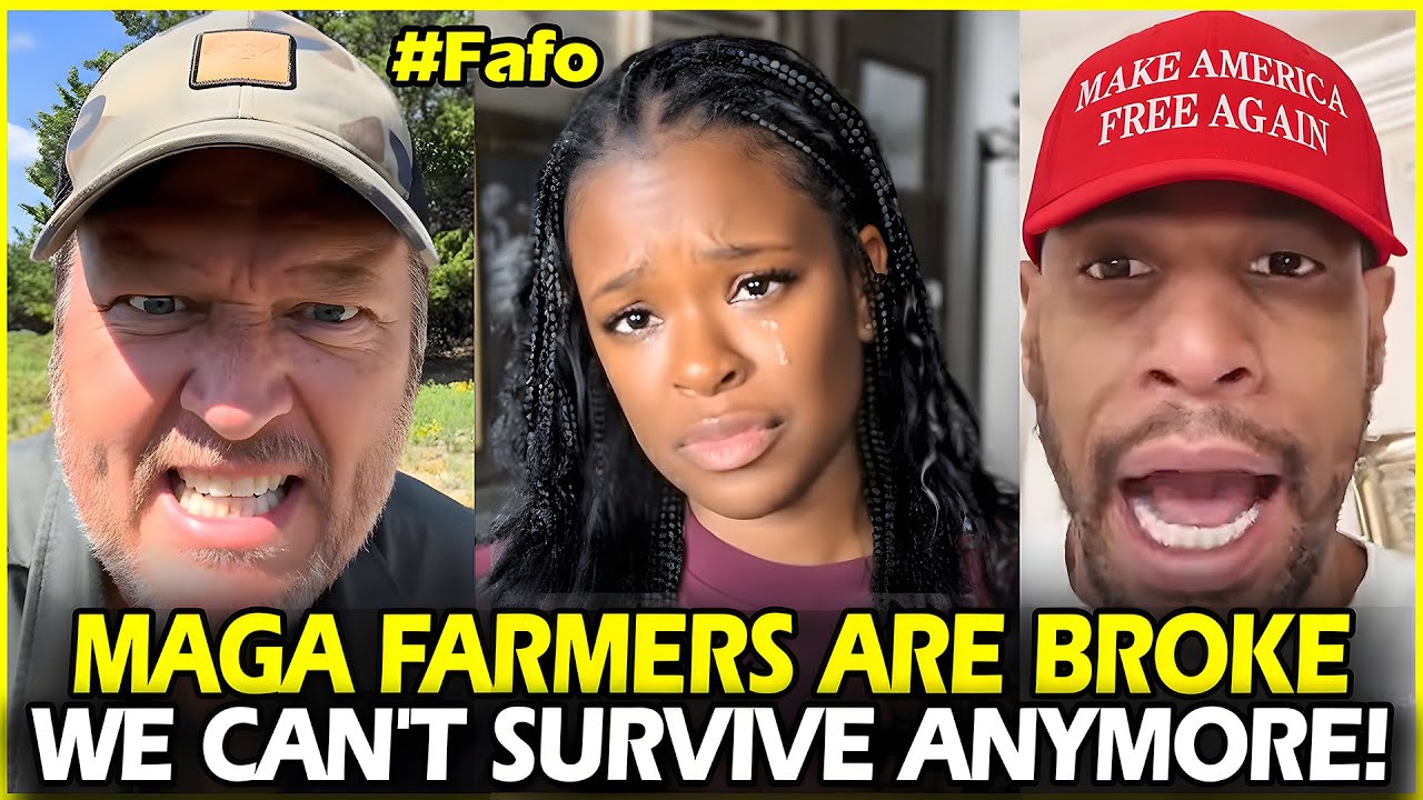 Farmers Going Bankrupt in Record Numbers - Businesses Collapses Over ...