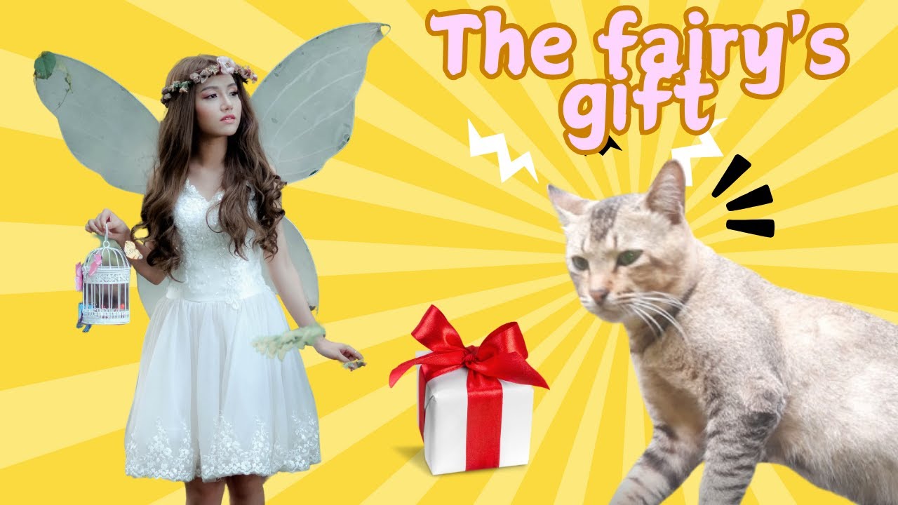 The gift the cat received from the fairy. - YouTube