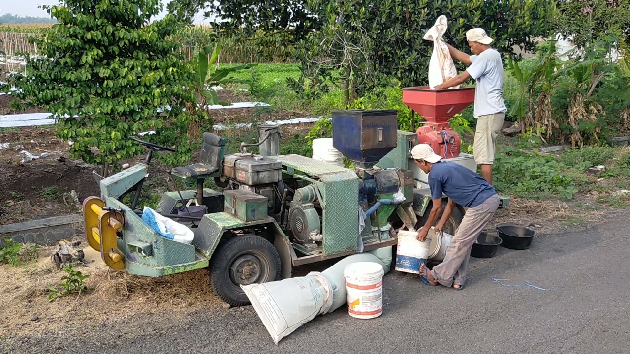 Proses Padi Menjadi Beras || Selepan Padi Keliling - YouTube