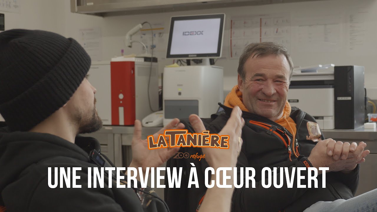 Patrick Violas - Une interview à cœur ouvert.🦁 - YouTube