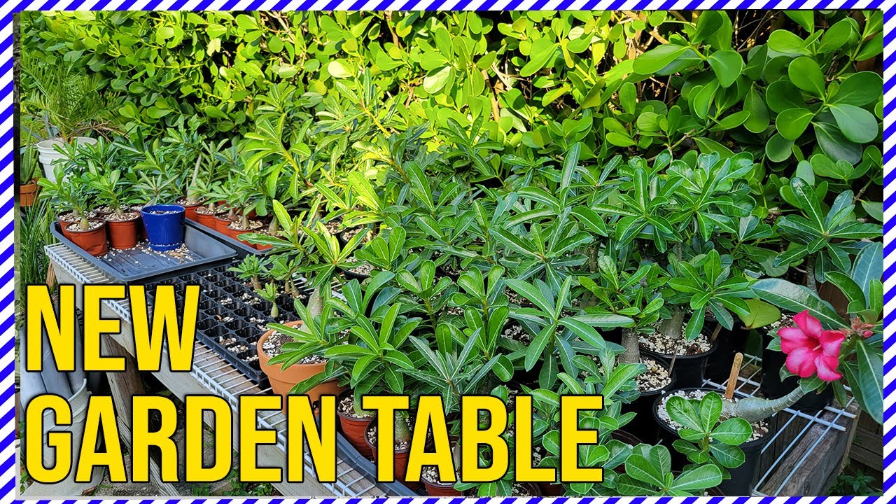 DIY Garden Grow Out Tables - YouTube