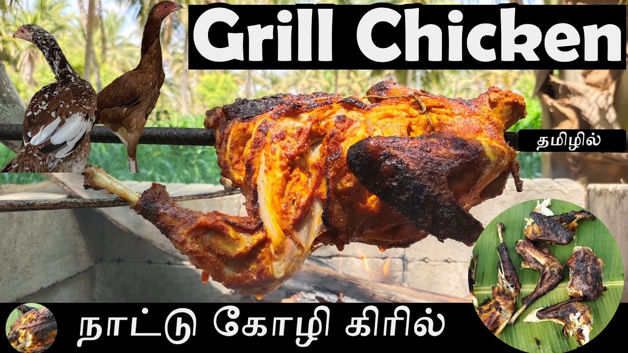 Grill Chicken Recipe in Tamil | Nattu Kozhi Grill | Village Style Grill ...