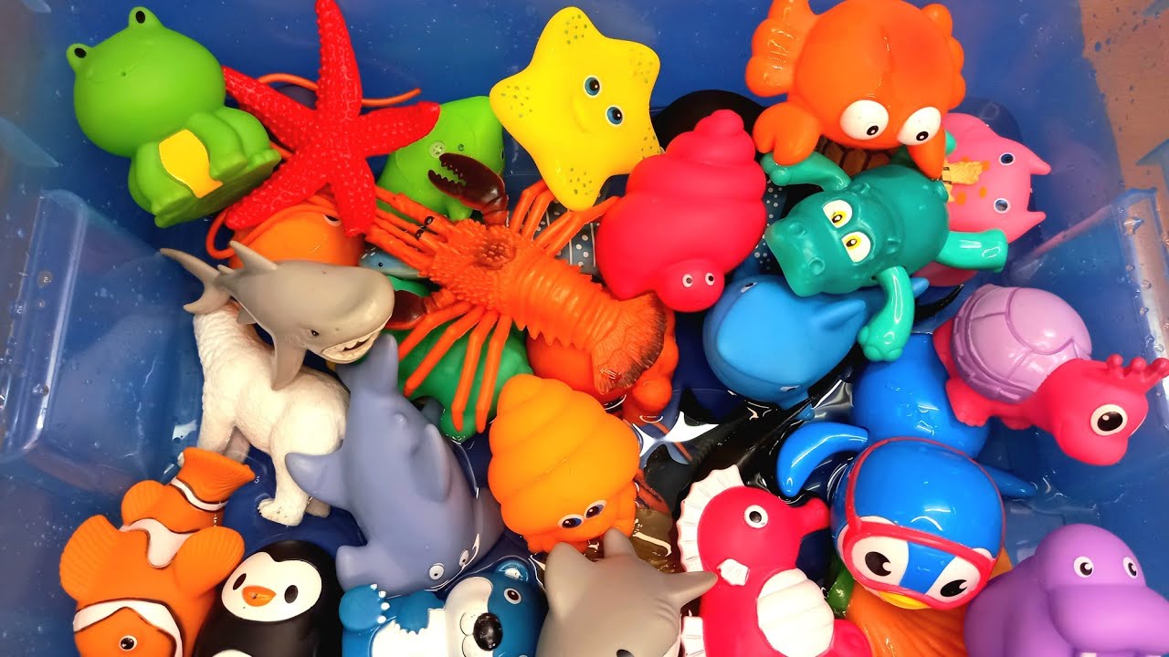 Sea Animal Toys For Kids Learn Sea Creatures Names And Facts For sea-animal-toys-for-kids-learn-sea-creatures-names-and-facts-for