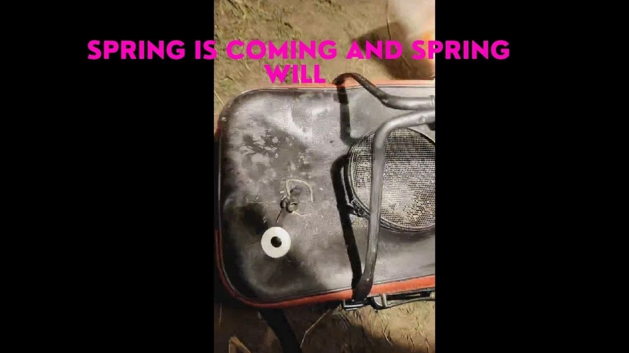 Spring is coming and spring will come - YouTube