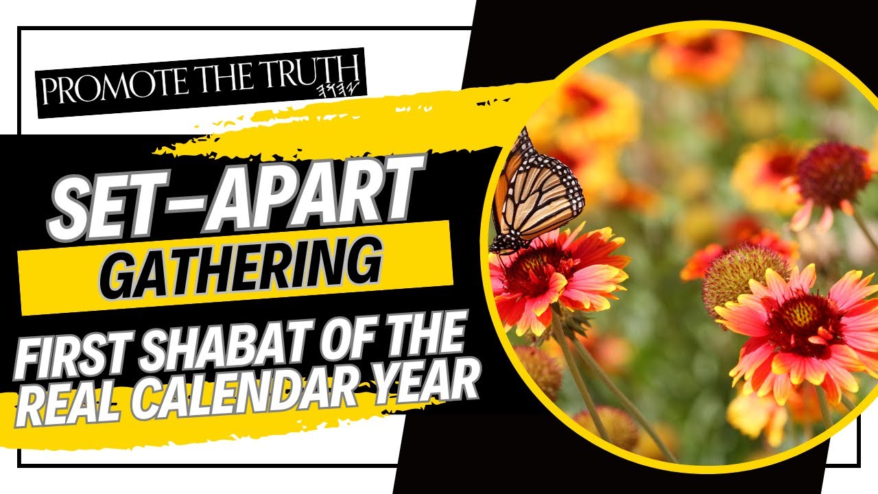 PTT Shabat Online Gathering! FIRST SHABAT OF THE REAL CALENDAR YEAR ...