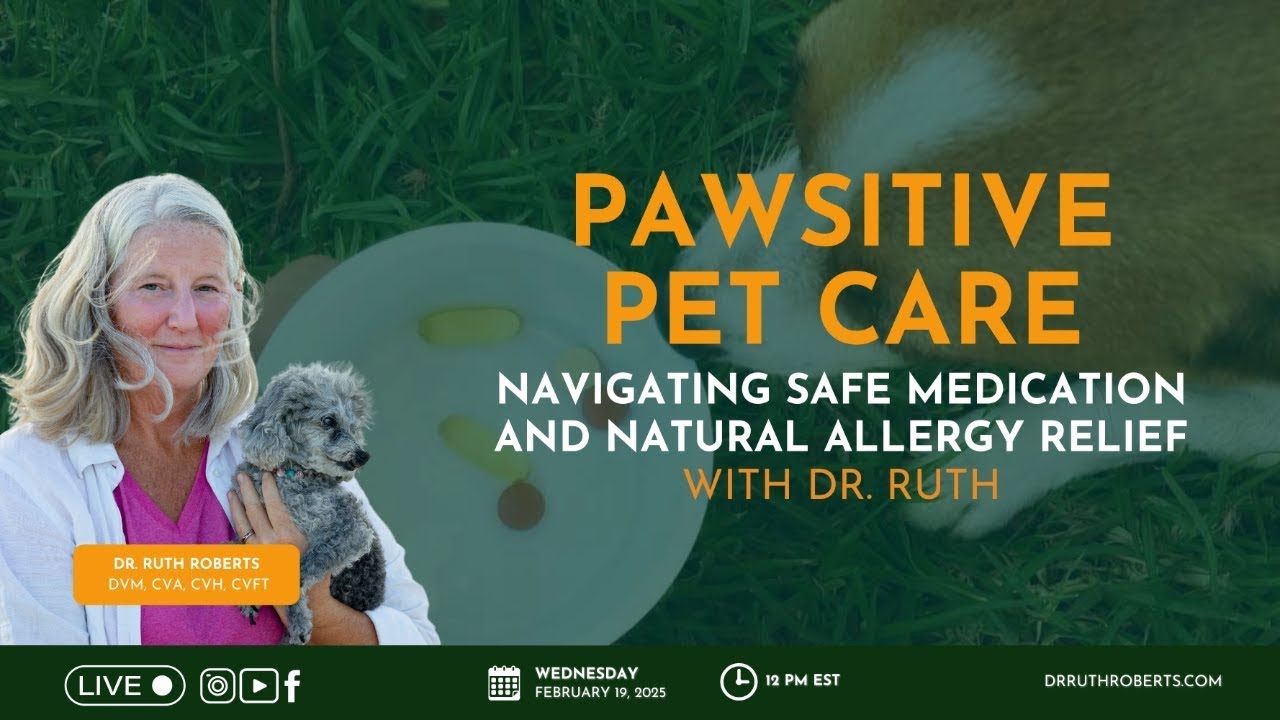 Pawsitive Pet Care Navigating Safe Medication and Natural Allergy ...