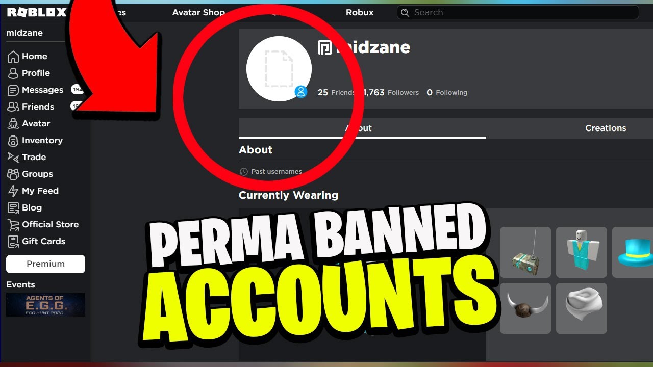 The TOP Perma-Banned Roblox Accounts EVER!! - YouTube