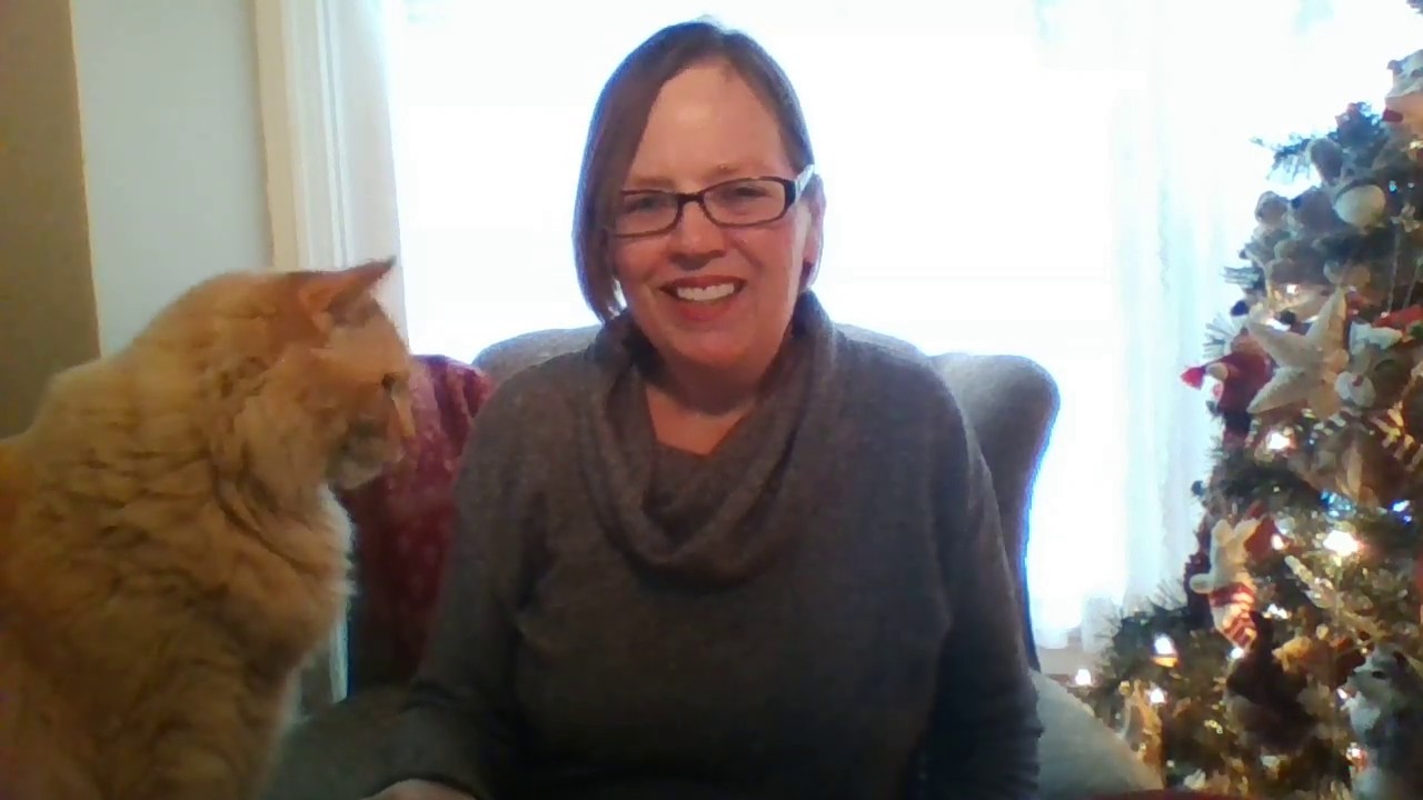 Trump Org & Trump Foundation (& Lucy Steals a Cheeto) - YouTube