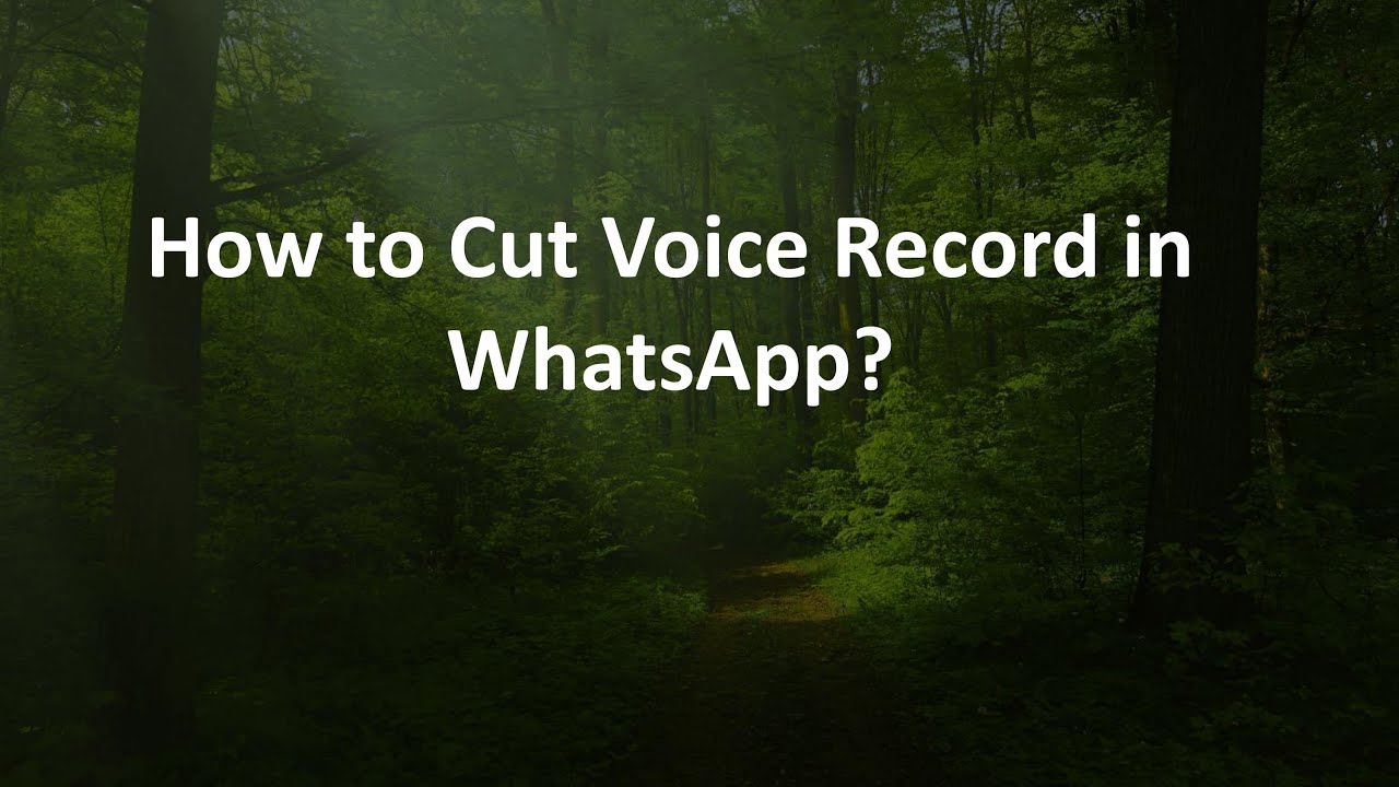 How to Cut Voice Record in WhatsApp? - YouTube
