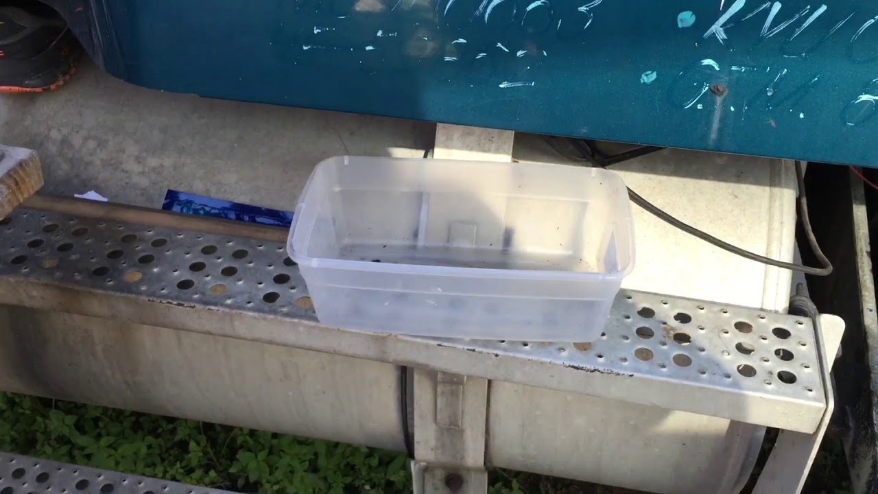 BEASTPOWER PRO G11 - FREIGHTLINER - YouTube